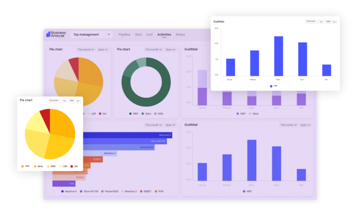 Business Analyze - Cloud Business Intelligence Software